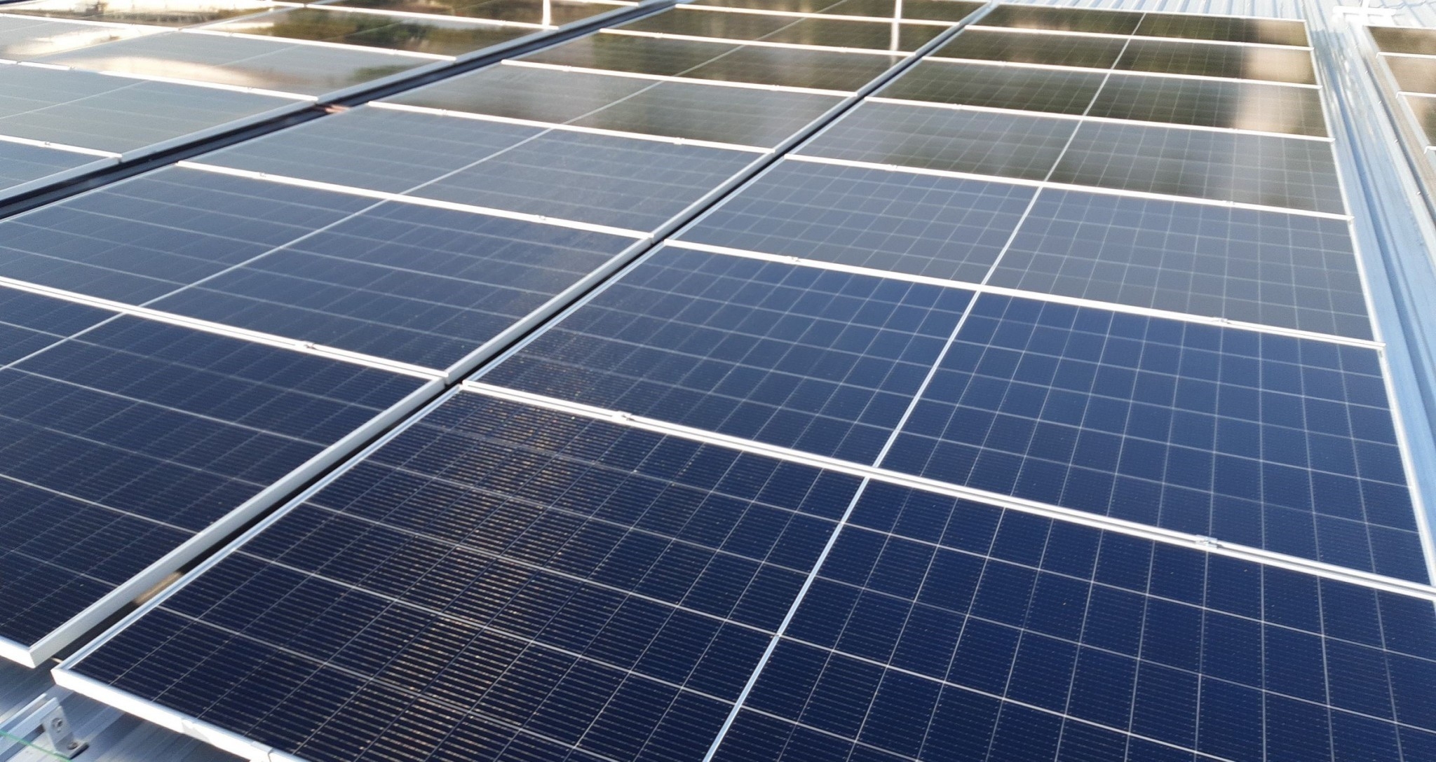 MOSS ENERGY – SUNNOX